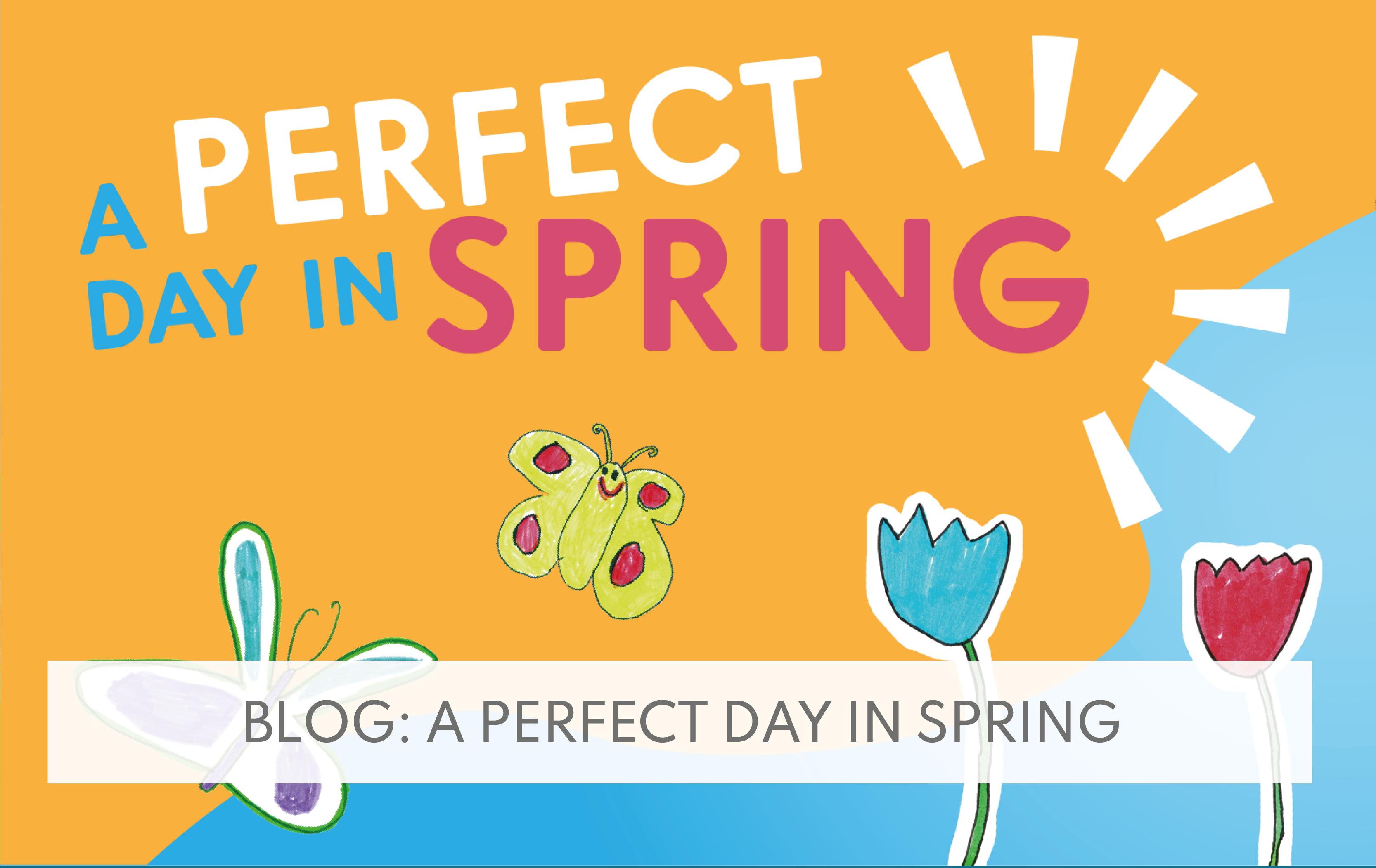 Primary School Songs | Songs For Schools | Out of the Ark